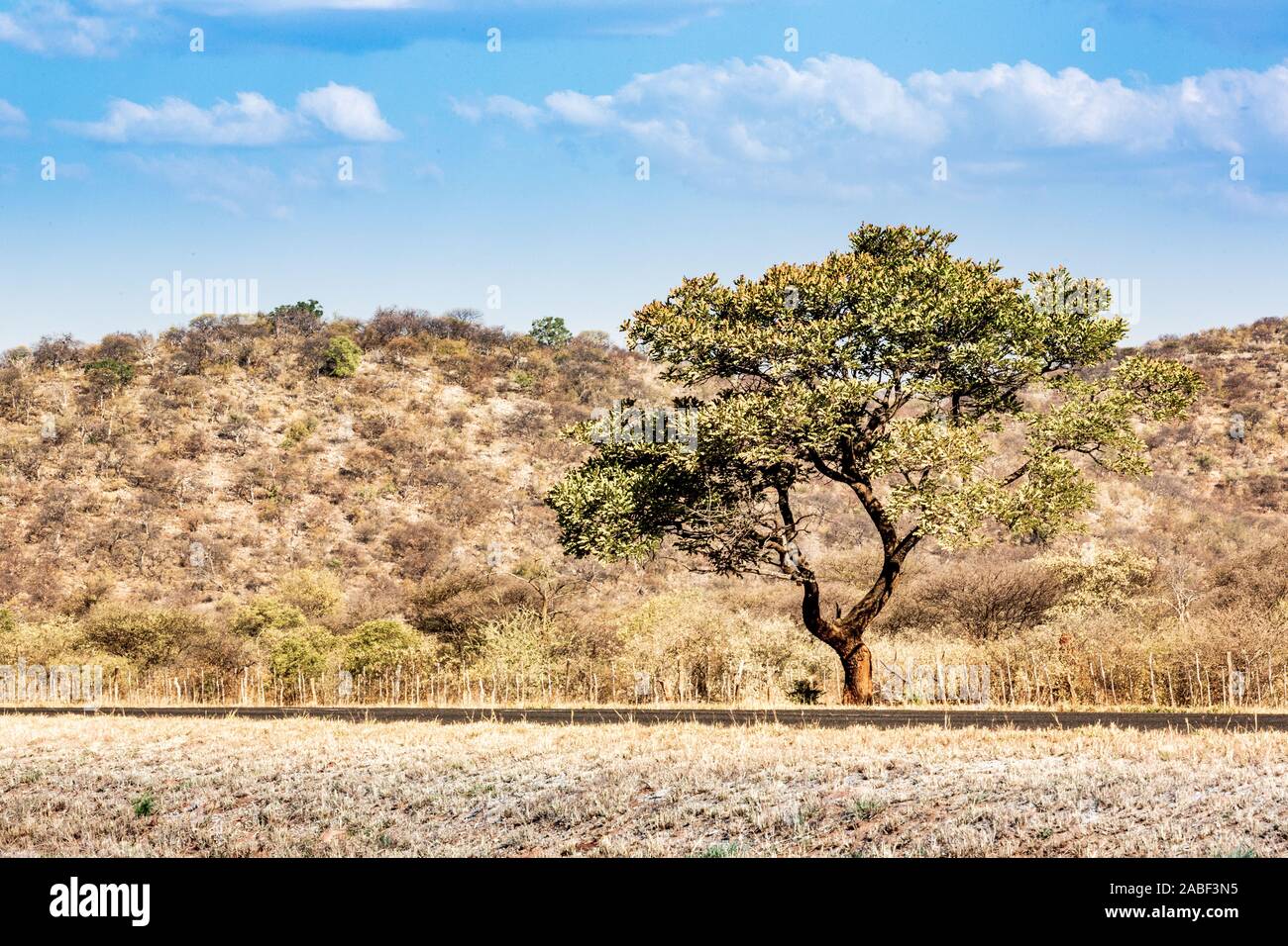 Landscape of Namibia, Africa Stock Photo - Alamy