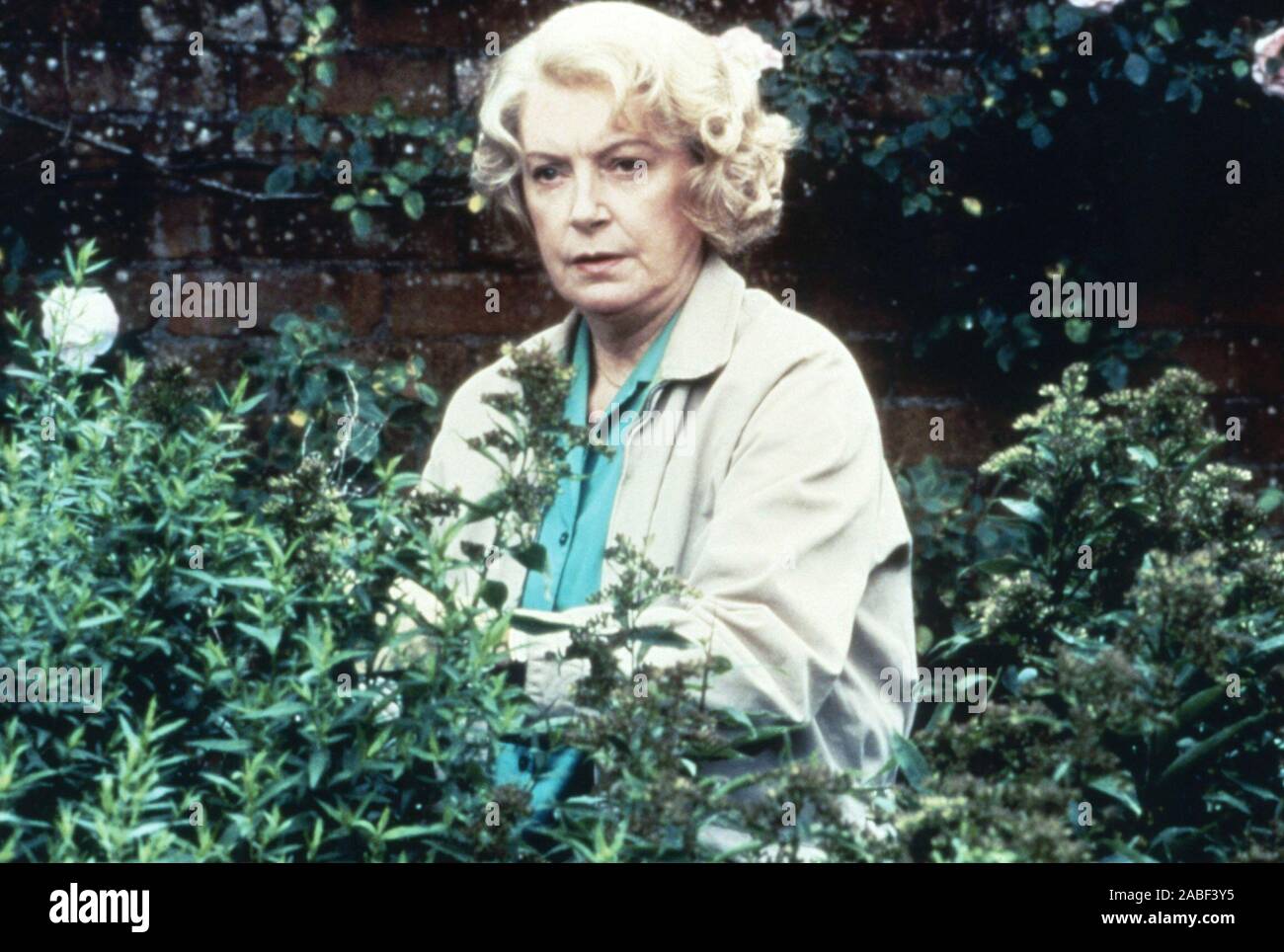 THE ASSAM GARDEN, Deborah Kerr, 1985. ©Contemporary Films/courtesy ...