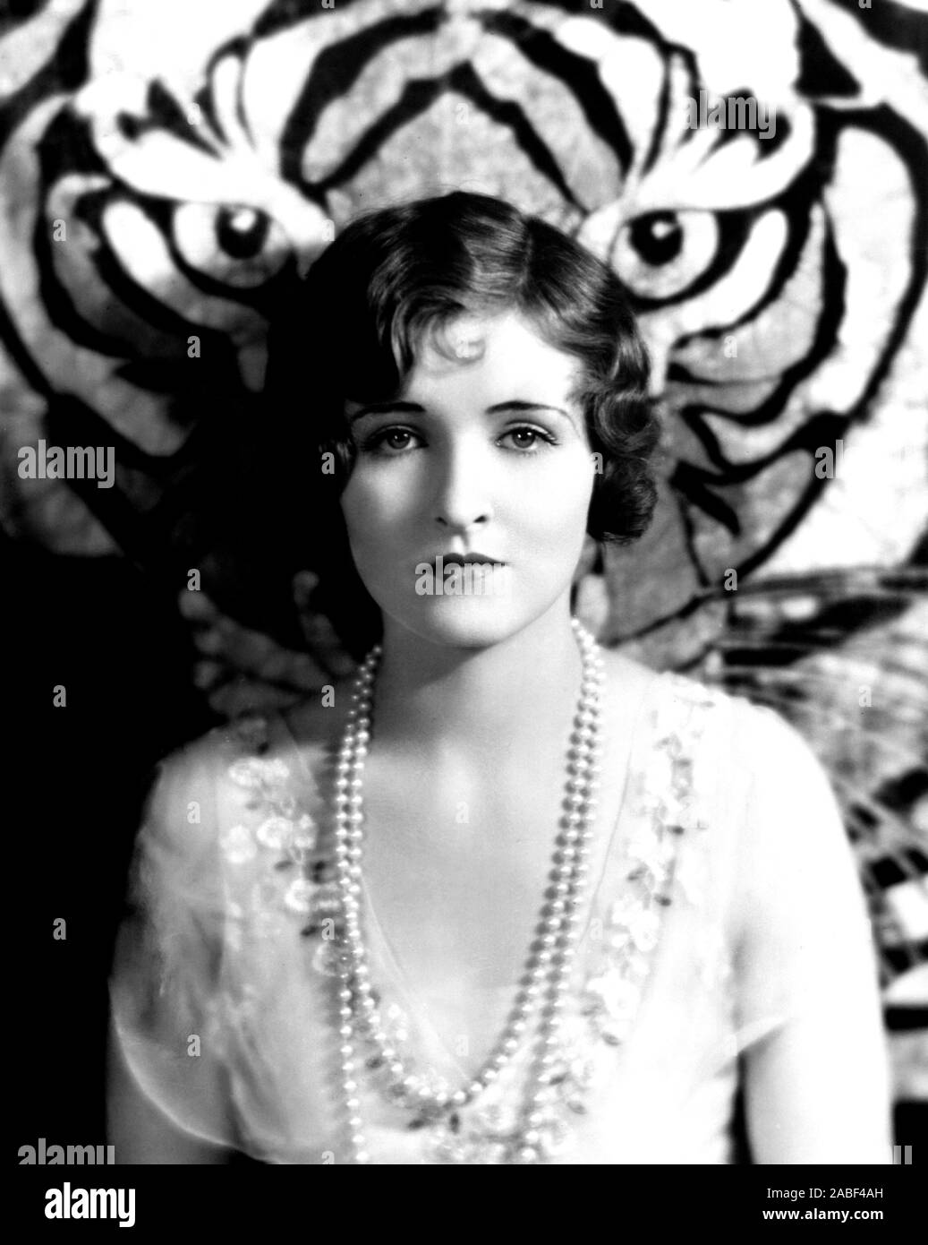 THE TIGER'S SHADOW, Gladys McConnell, 1928 Stock Photo - Alamy
