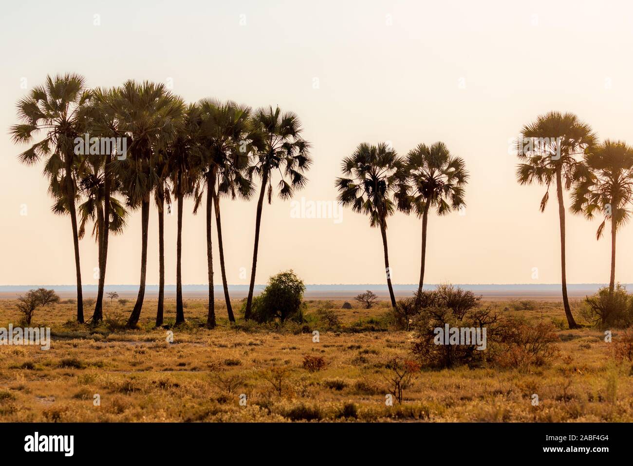 Landscape of Namibia, Africa Stock Photo - Alamy