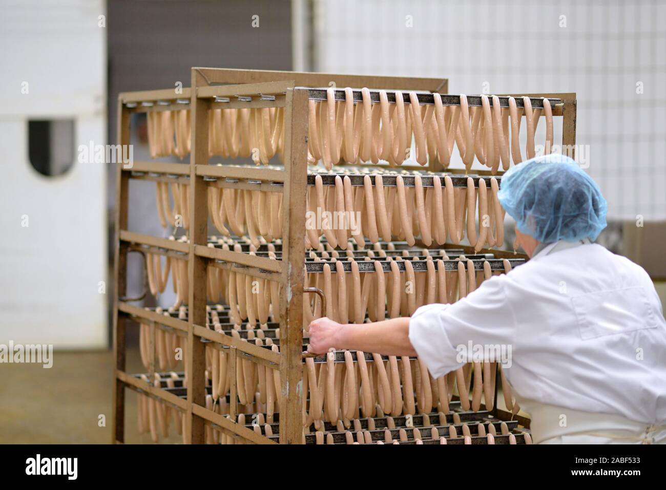 workplace food industry - factory butchery for the production of ...