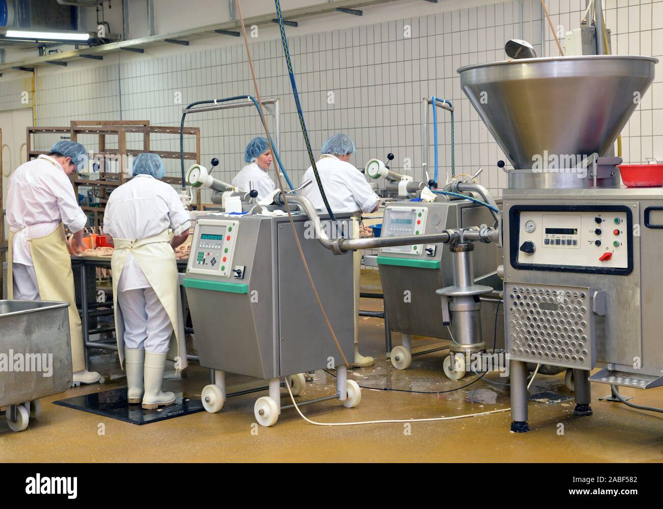 workplace food industry - factory butchery for the production of ...