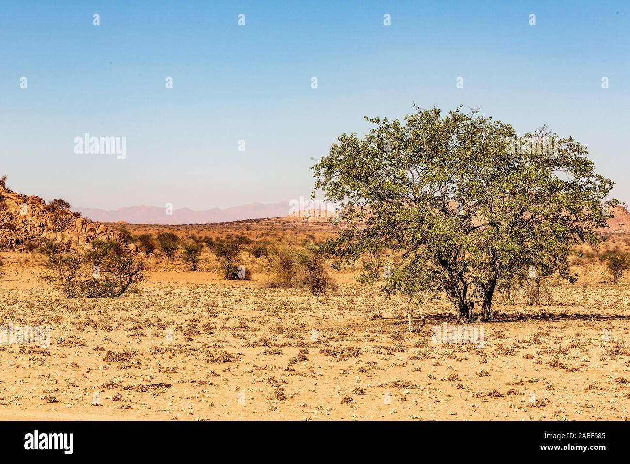 Landscape of Namibia, Africa Stock Photo - Alamy