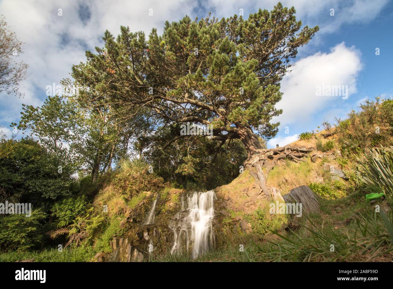 Waitangi falls hi-res stock photography and images - Alamy