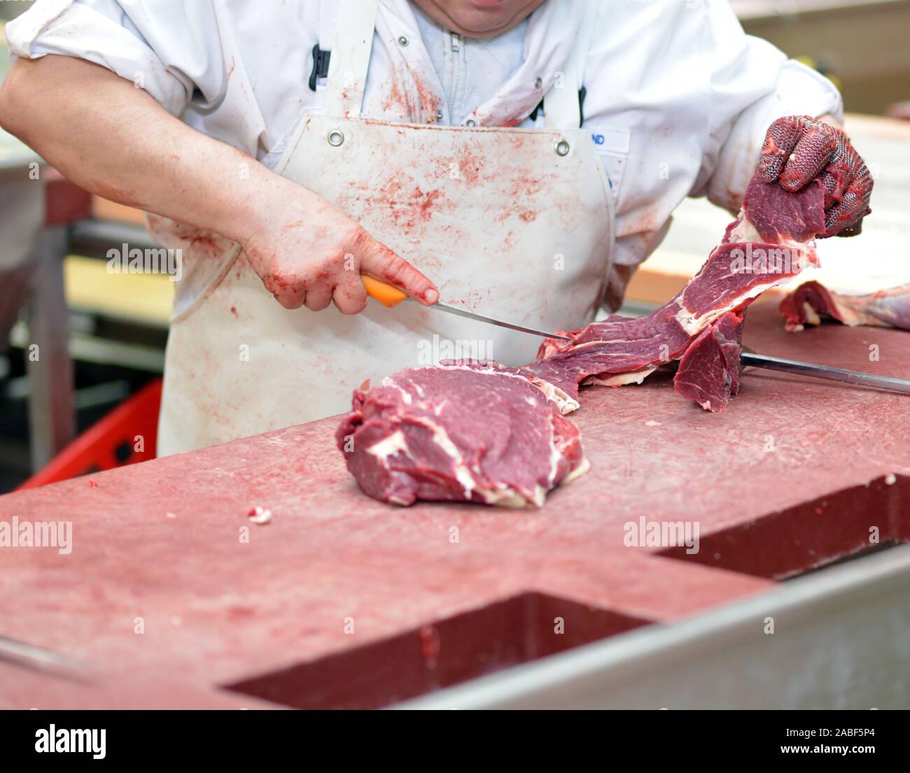 workplace food industry - factory butchery for the production of ...