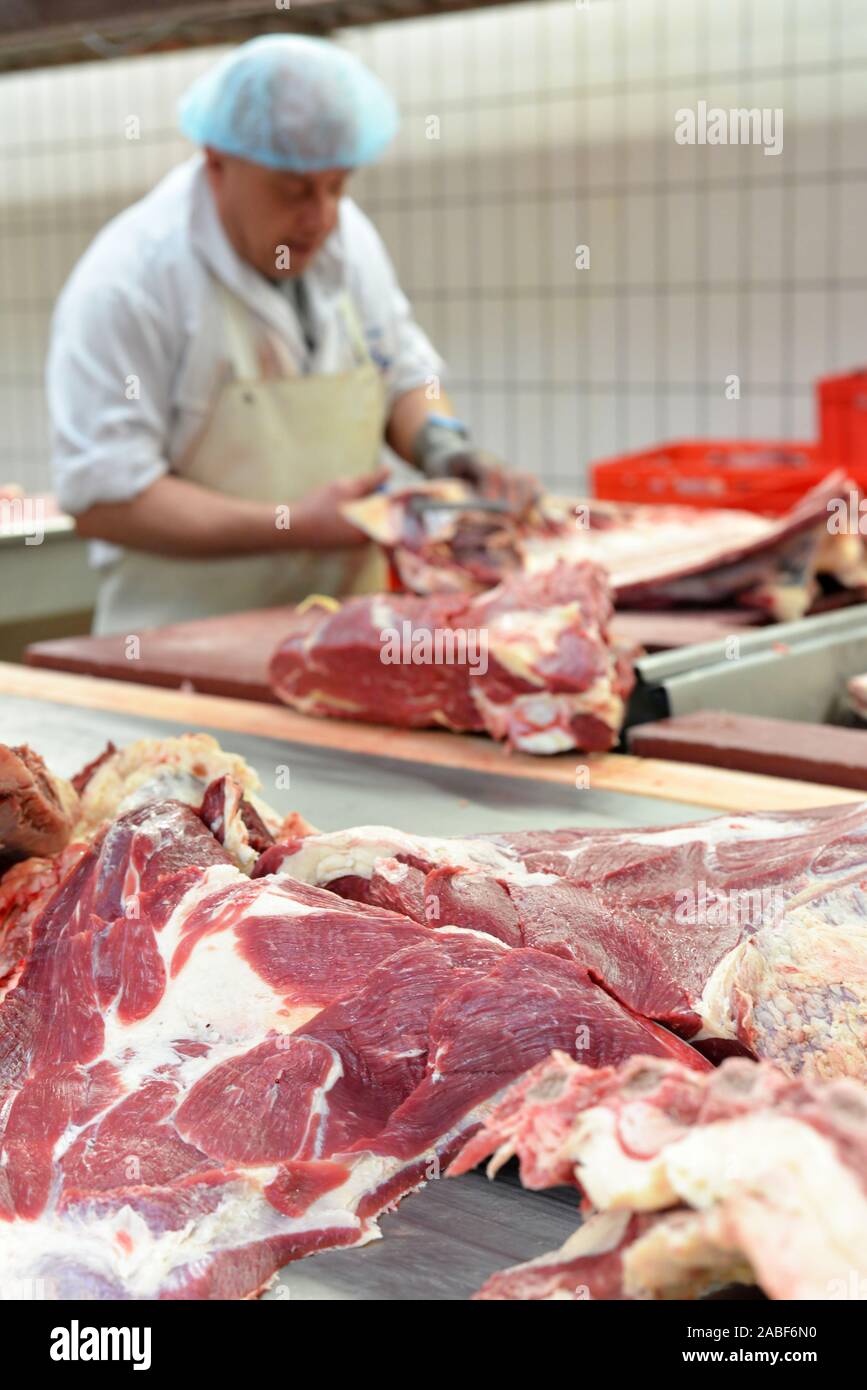 workplace food industry - factory butchery for the production of ...