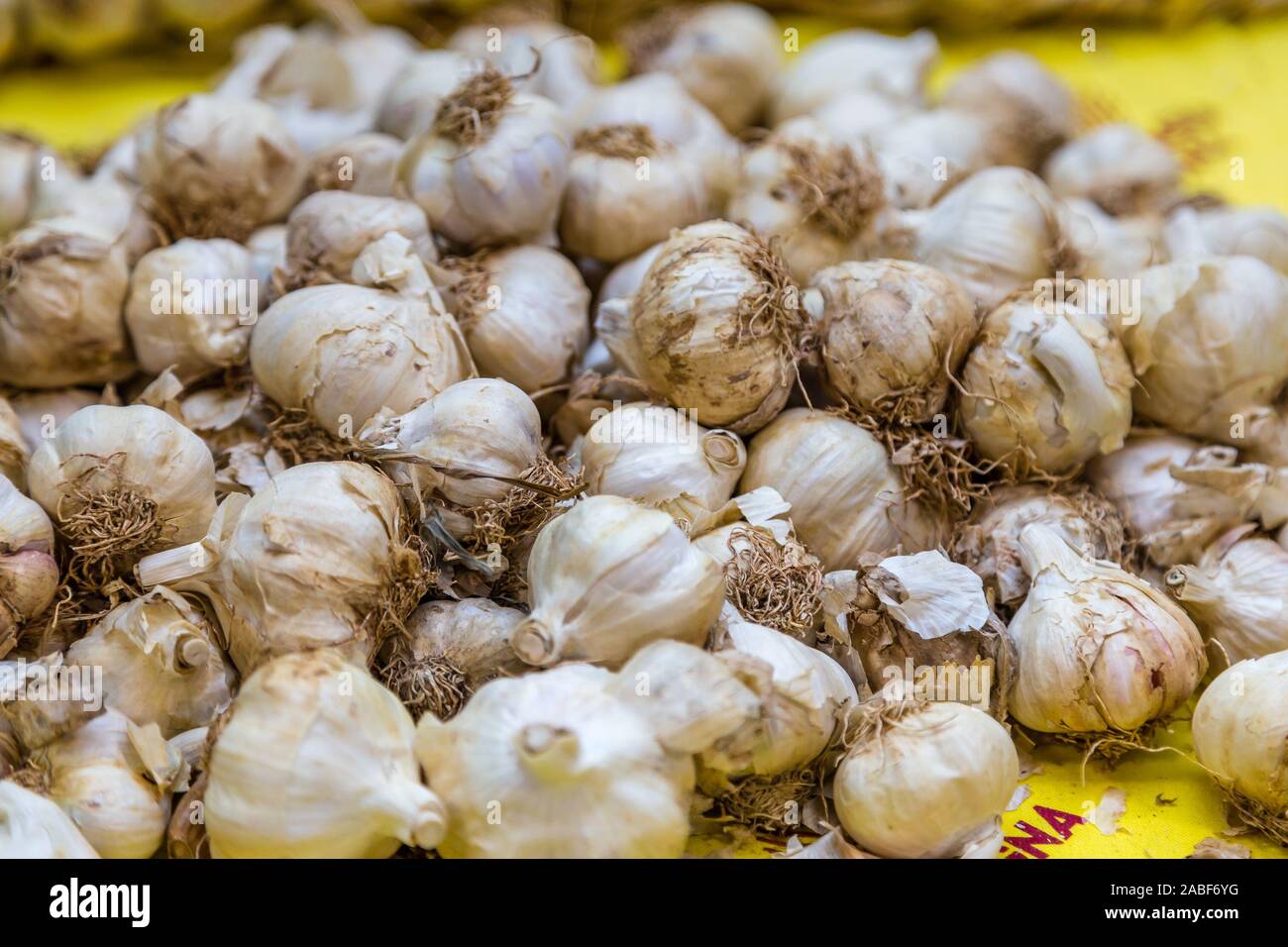 Dried garlic in a bunch hi-res stock photography and images - Alamy