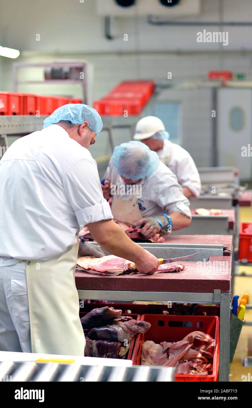 Meat slaughterhouse hi-res stock photography and images - Alamy
