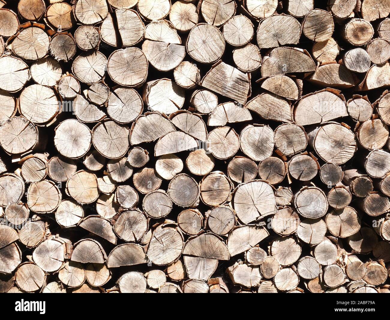Timber trades hi-res stock photography and images - Alamy