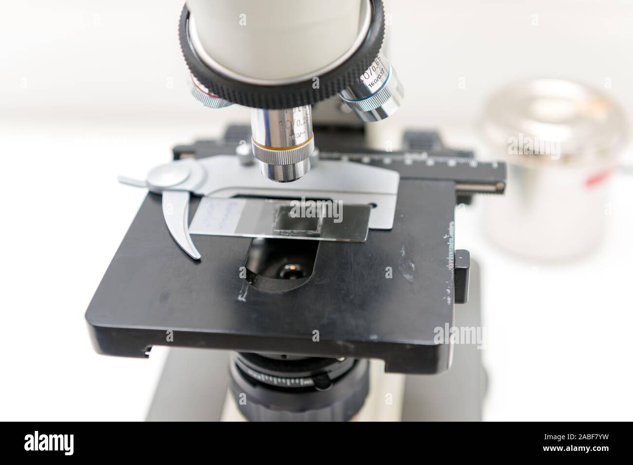 Germs microscope hi-res stock photography and images - Alamy