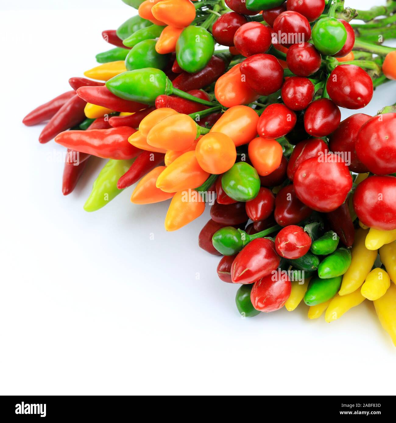 Closeup of colorful chilli peppers on a white background Stock Photo ...
