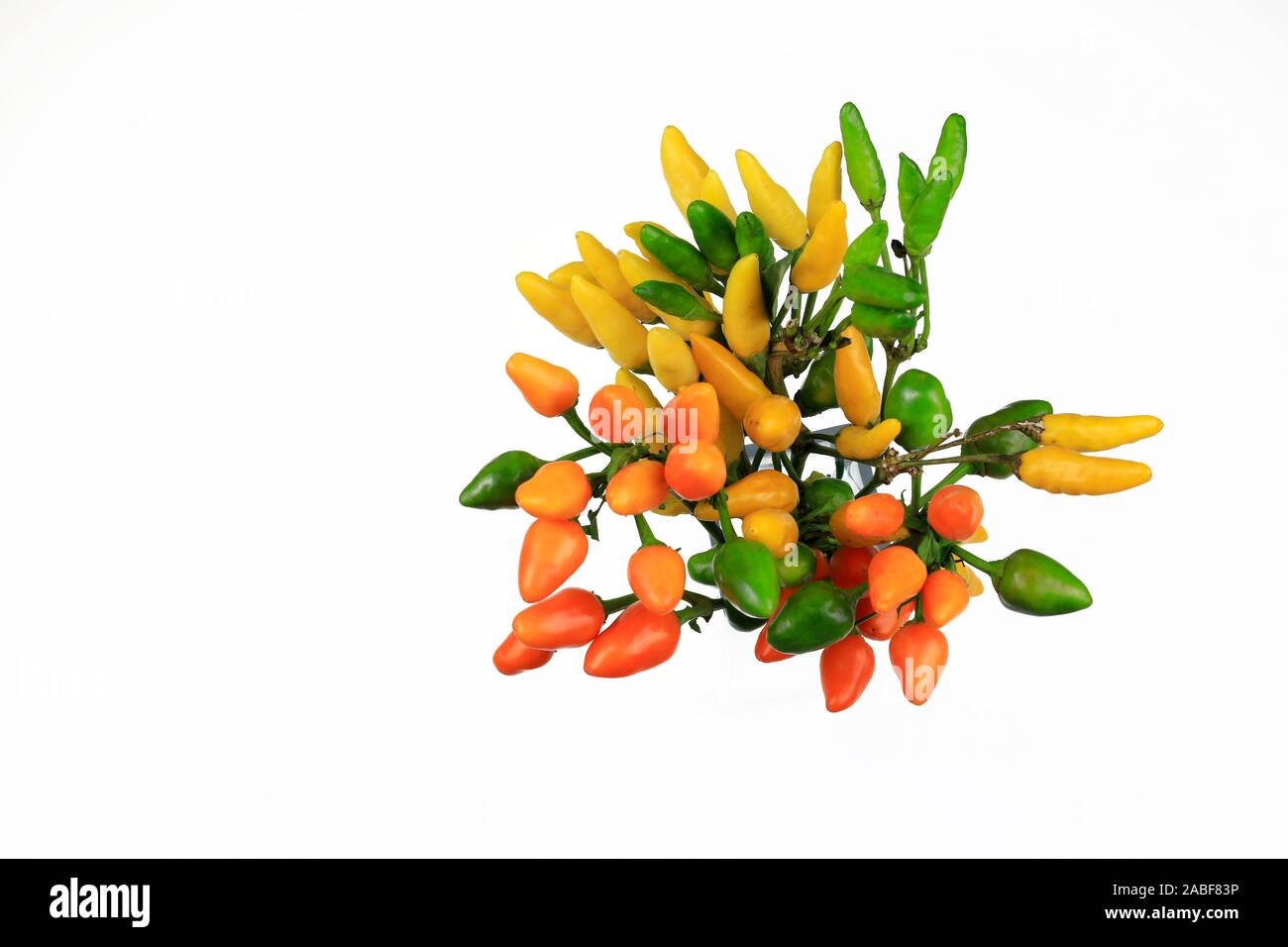 Colorful chilli peppers hi-res stock photography and images - Alamy