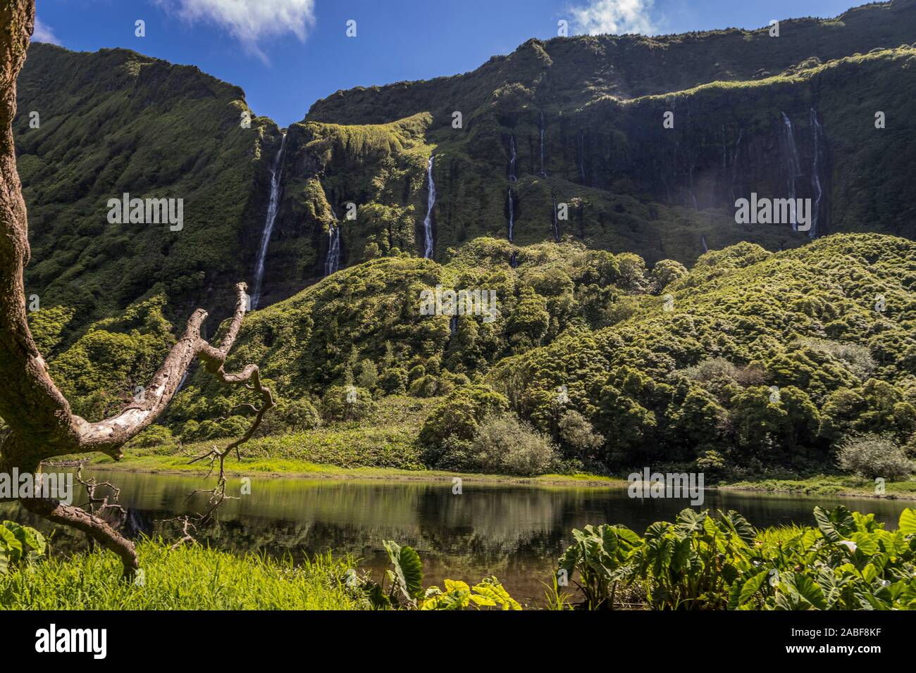 Poço da Ribeira do Ferreiro, Flores Island, Azores, Portugal Stock ...