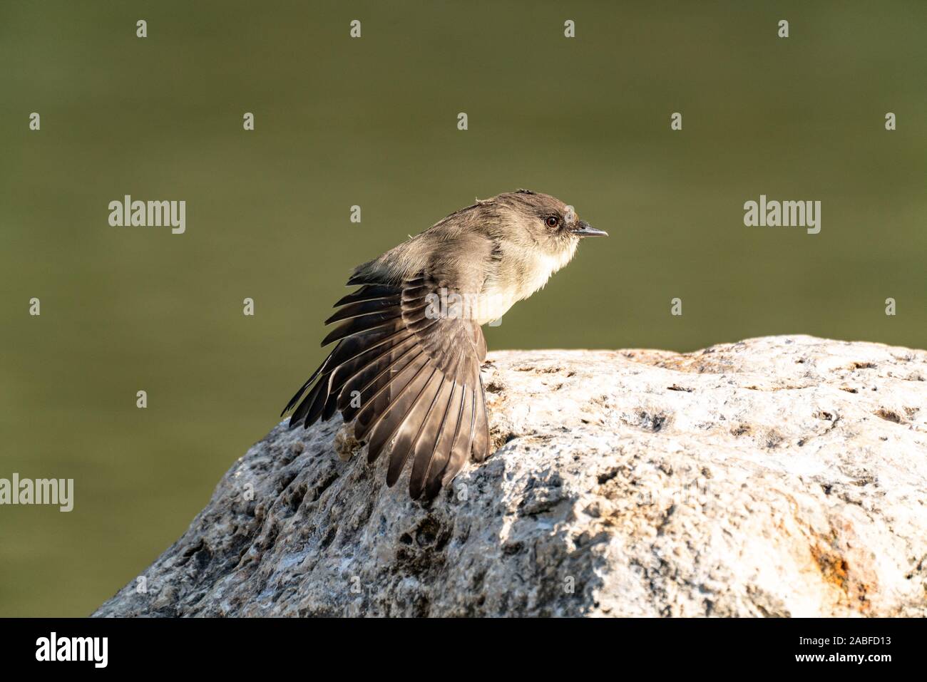 Sunny day texas hill country hi-res stock photography and images - Alamy