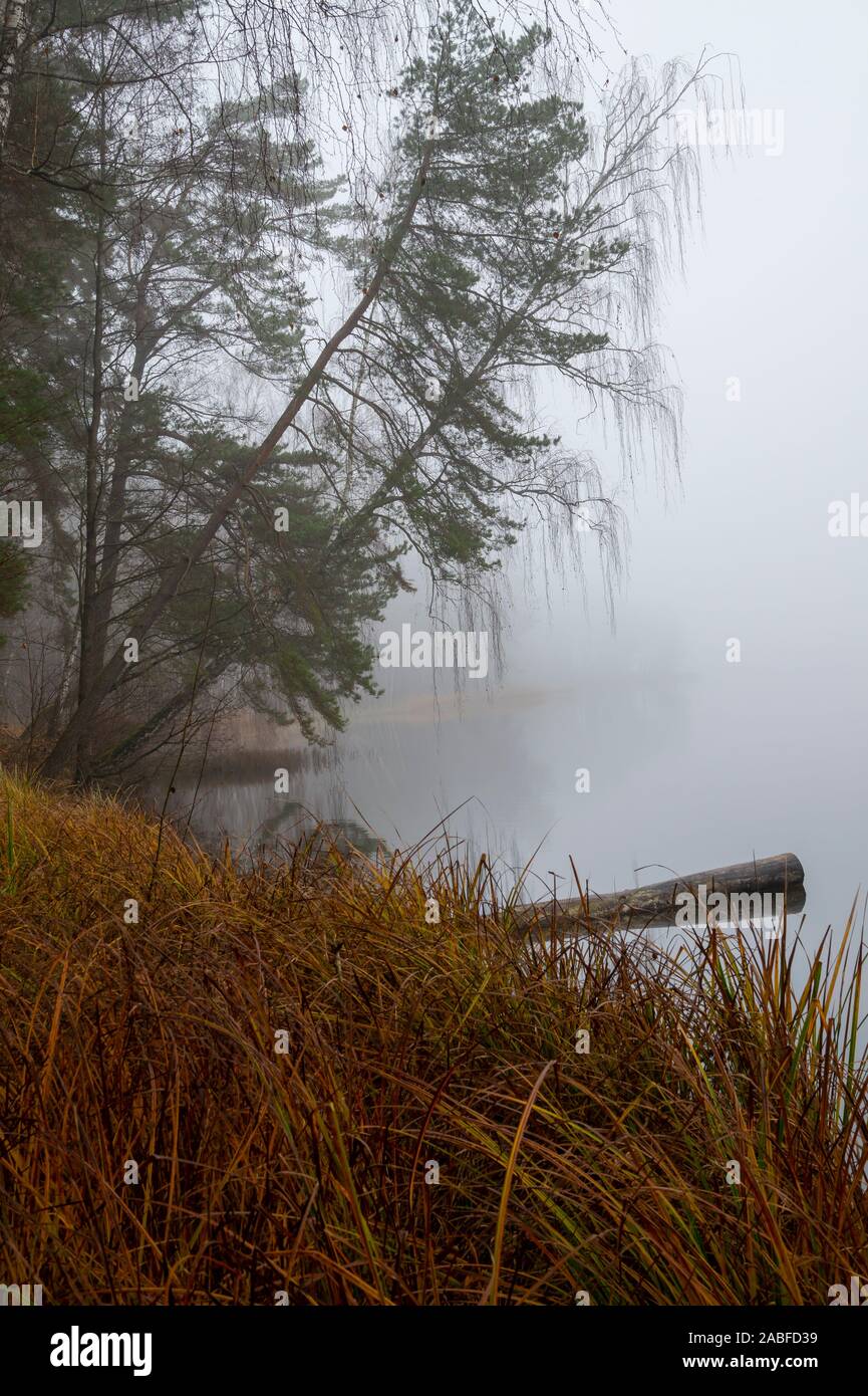 Overhanging tree branches hi-res stock photography and images - Alamy