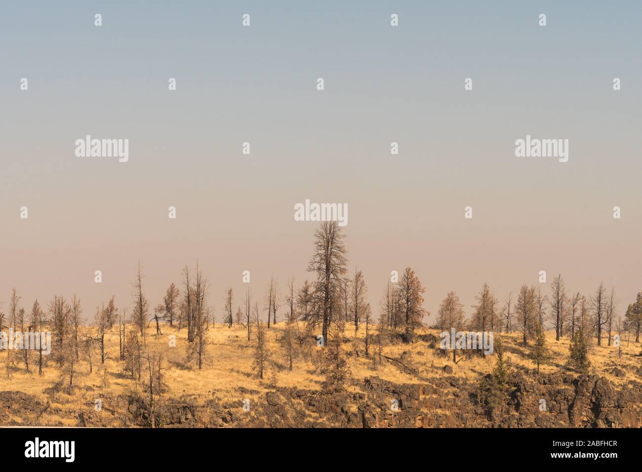 Indian deforestation hi-res stock photography and images - Alamy