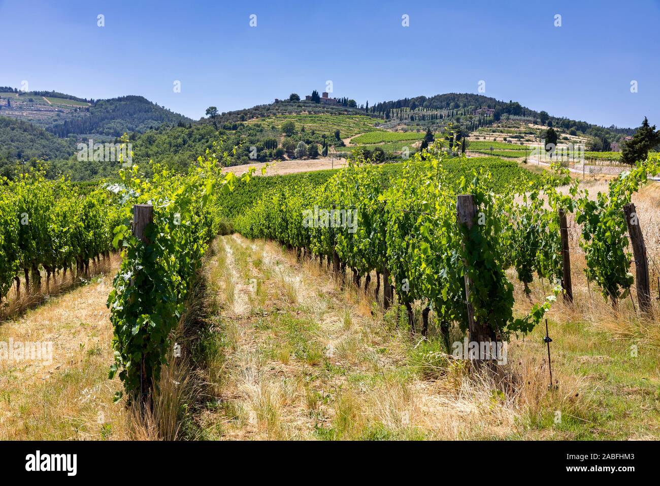Panoramic scenic view vineyards in hi-res stock photography and images ...
