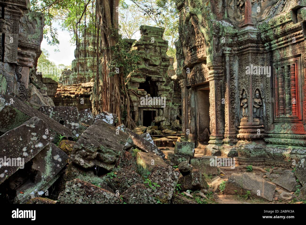 Ta Prohm Temple, Temples of Angkor, Cambodia Stock Photo - Alamy