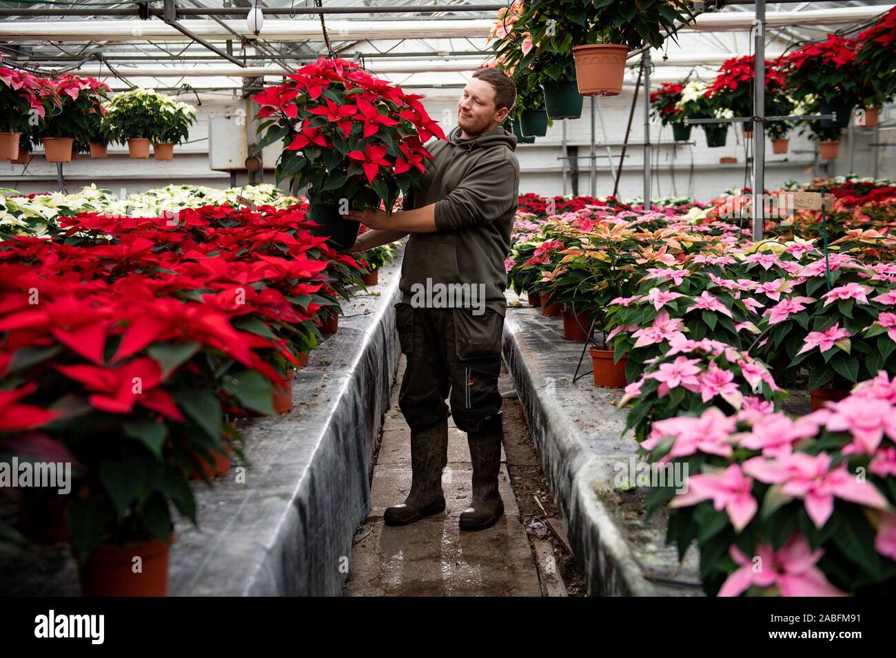 Fourth generation nurseryman hi-res stock photography and images - Alamy