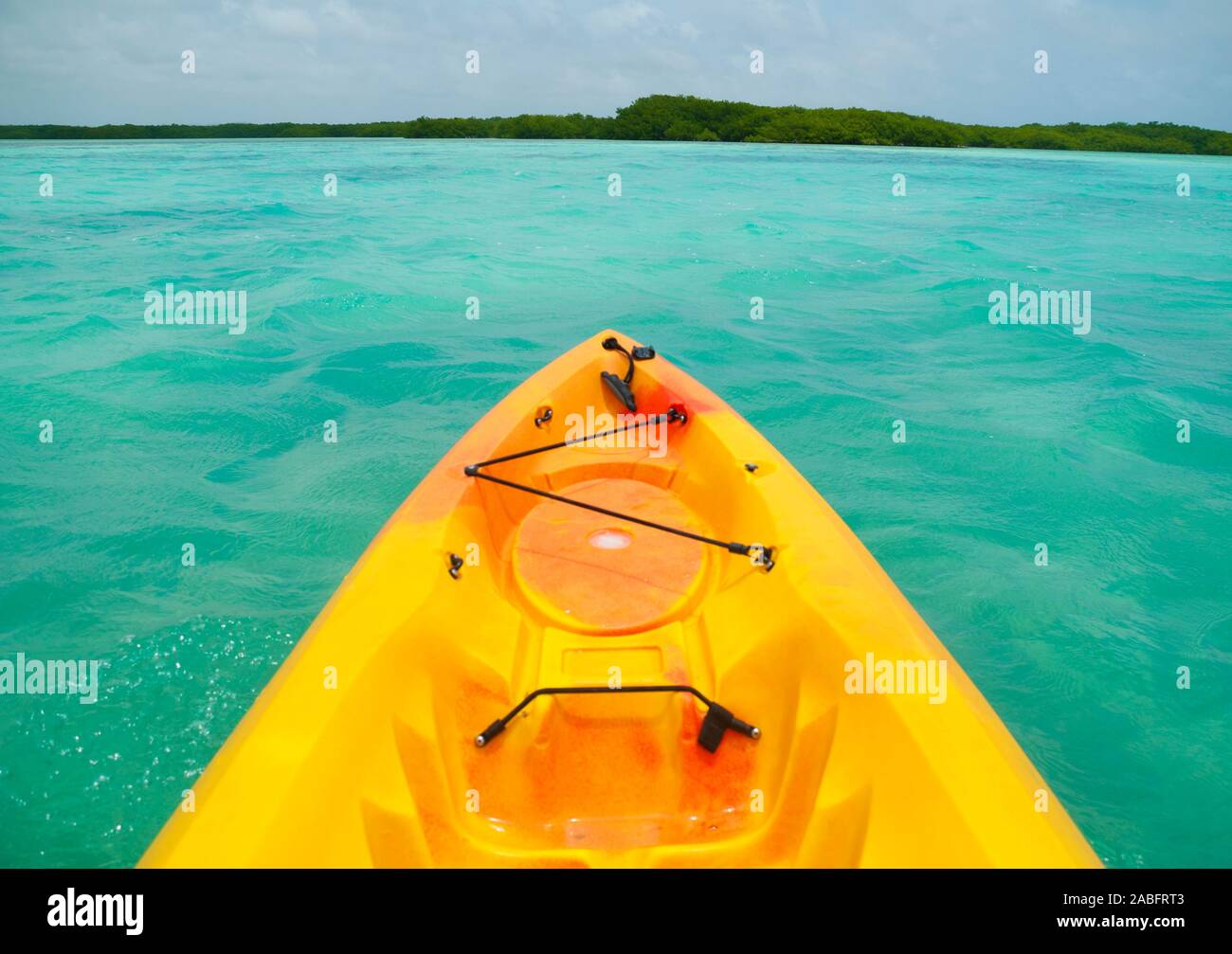 Kayaking in the open lagoon of the Lac Bai Mangrove Reserve on Bonaire ...