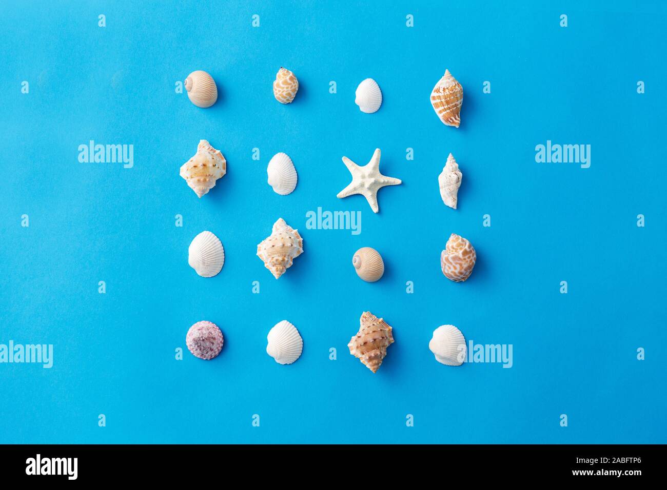 different sea shells on blue background Stock Photo - Alamy