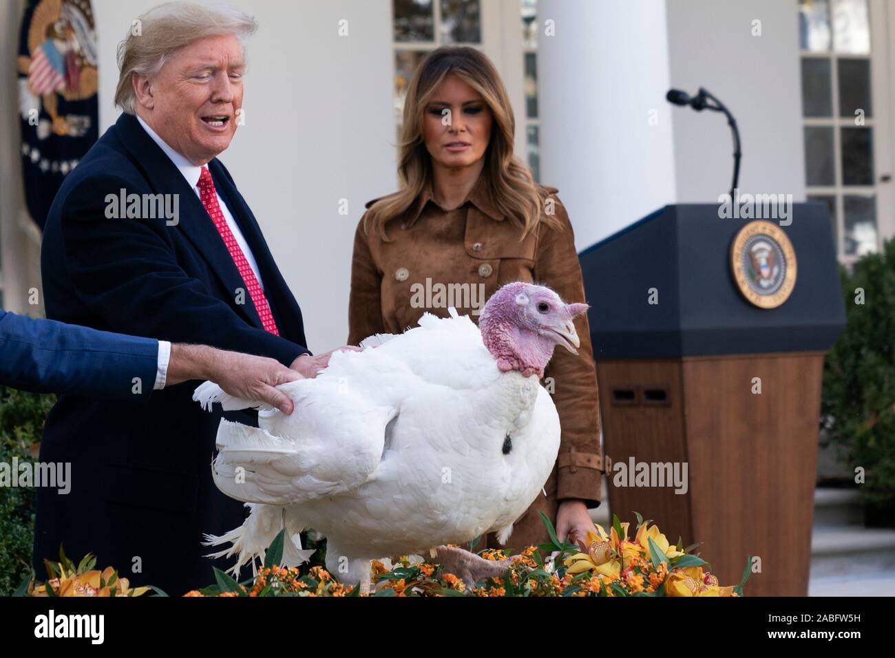 Washington DC, USA. 26th Nov, 2019. United States President Donald J ...