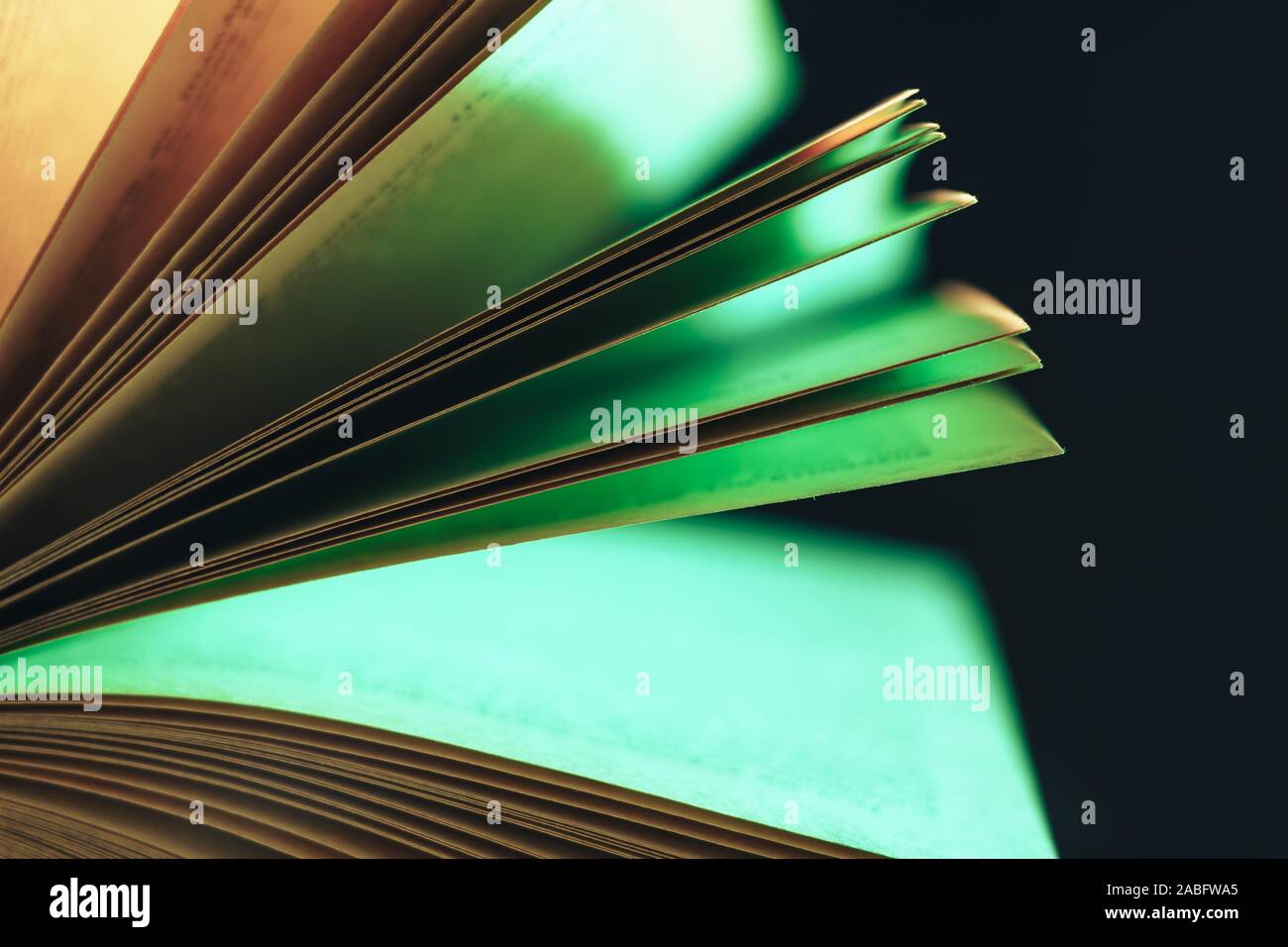 Close up Beautiful book pages in the color light on a night background ...