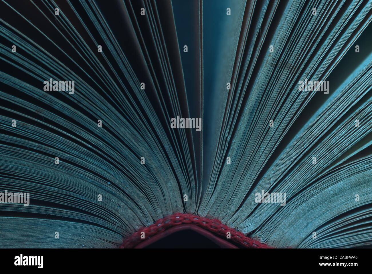 Close up Beautiful book pages in the color light on a night background ...