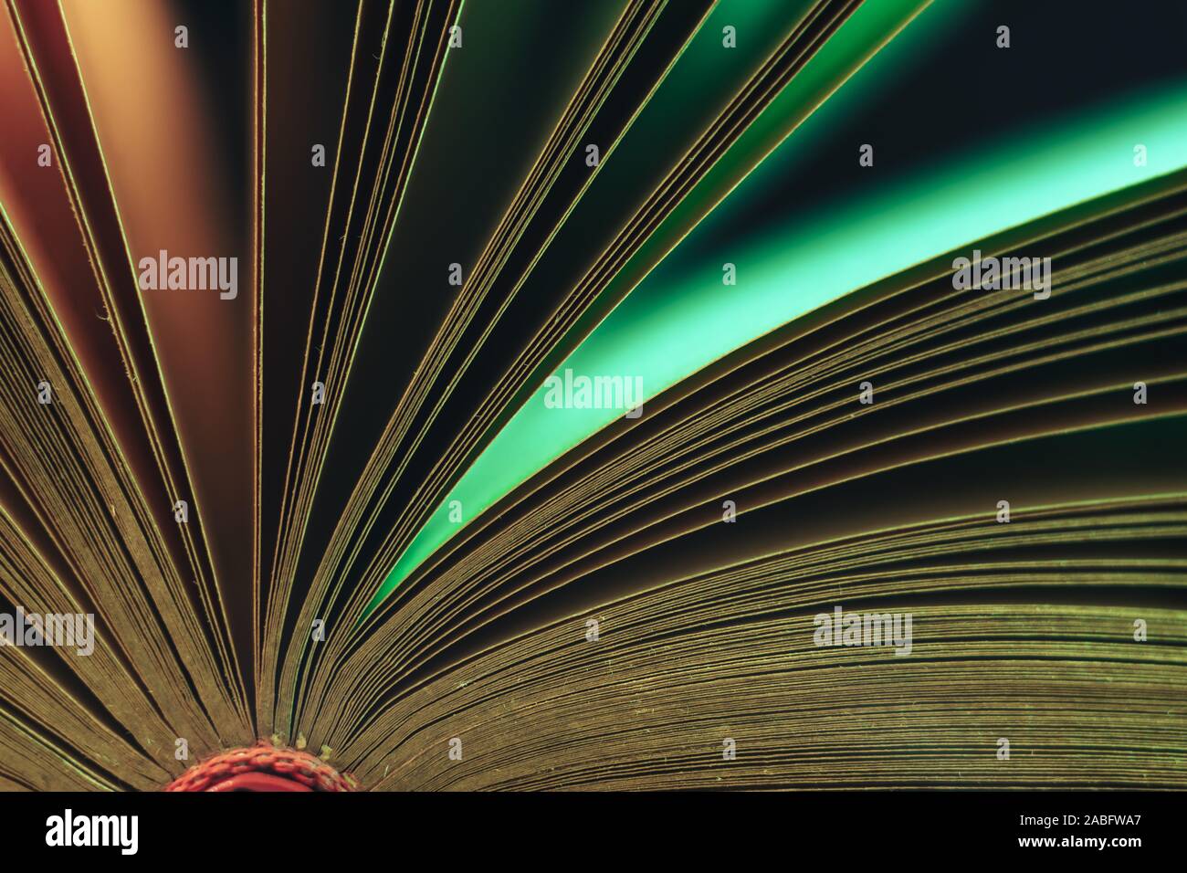 Close up Beautiful book pages in the color light on a night background ...