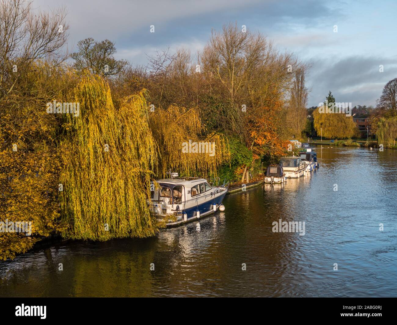 Morning Light, Landscape with Autumn Trees, River Thames, Reading ...