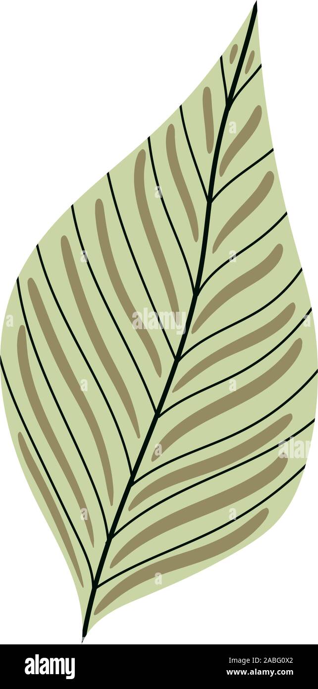 leaf drawing design, Plant floral garden nature decoration ornament and ...