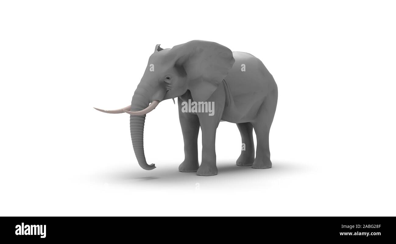 Elephant on White Background 3D Rendering Stock Photo - Alamy