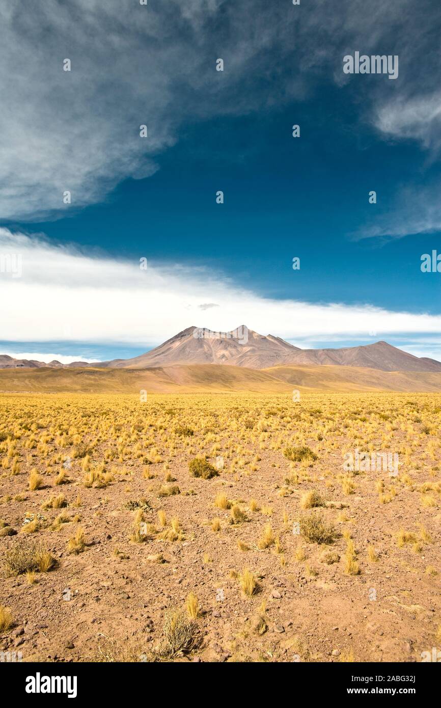 Cerro Miniques (Miniques hill) in the Altiplano (high Andean Plateau ...