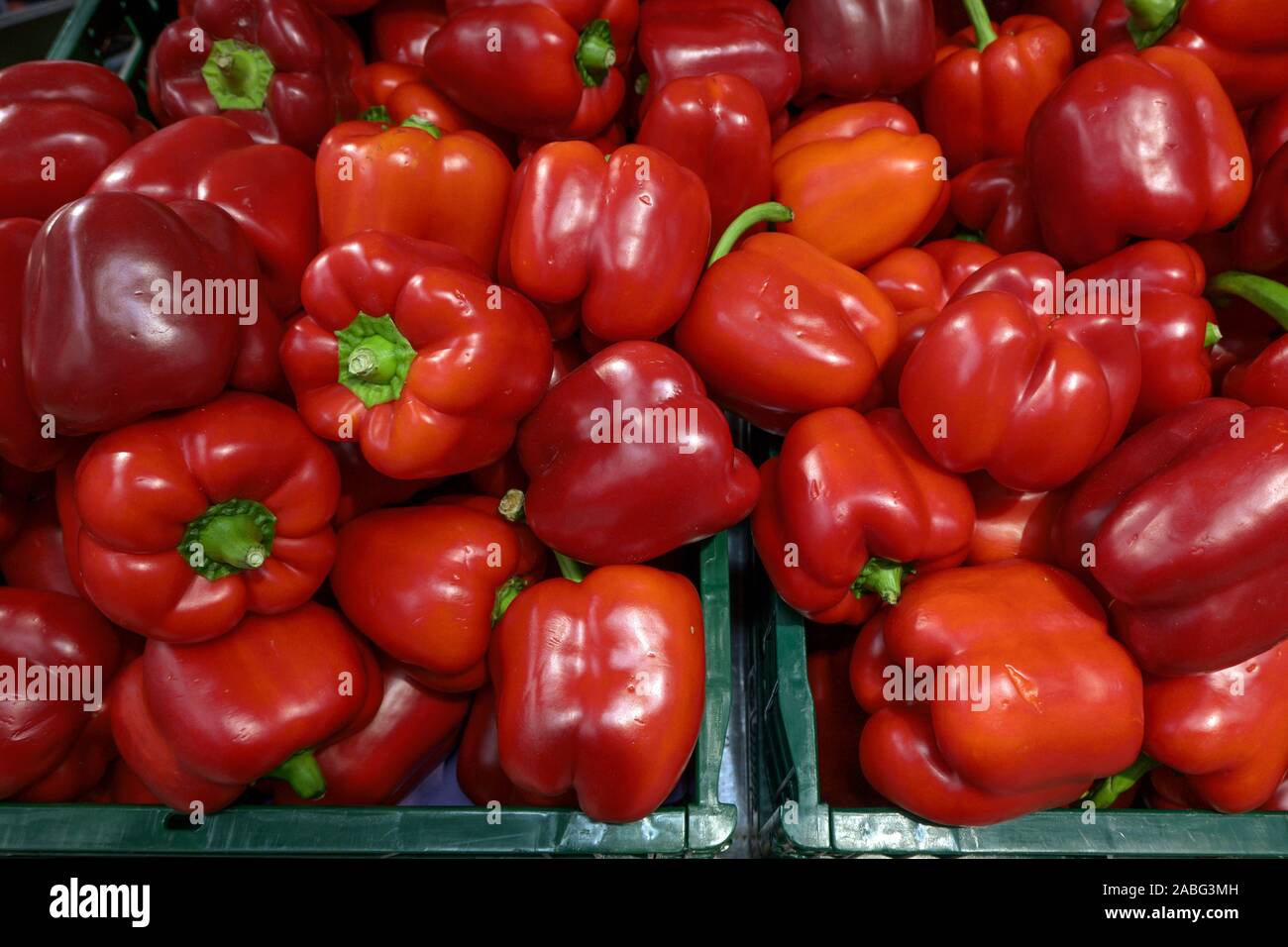 Red bell peppers for sale in a supermarket, full frame background with ...