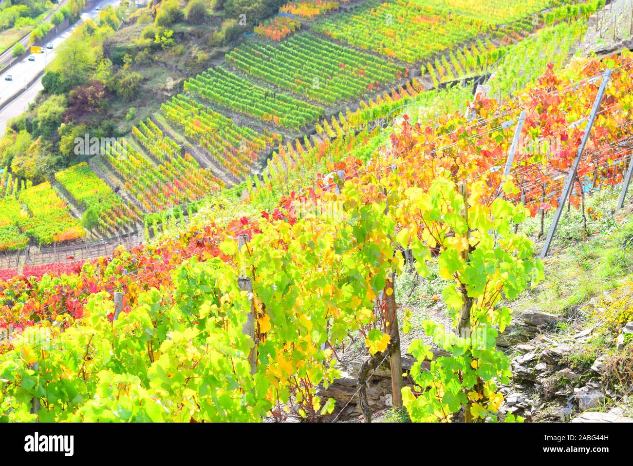 Ahr valley in October Stock Photo - Alamy