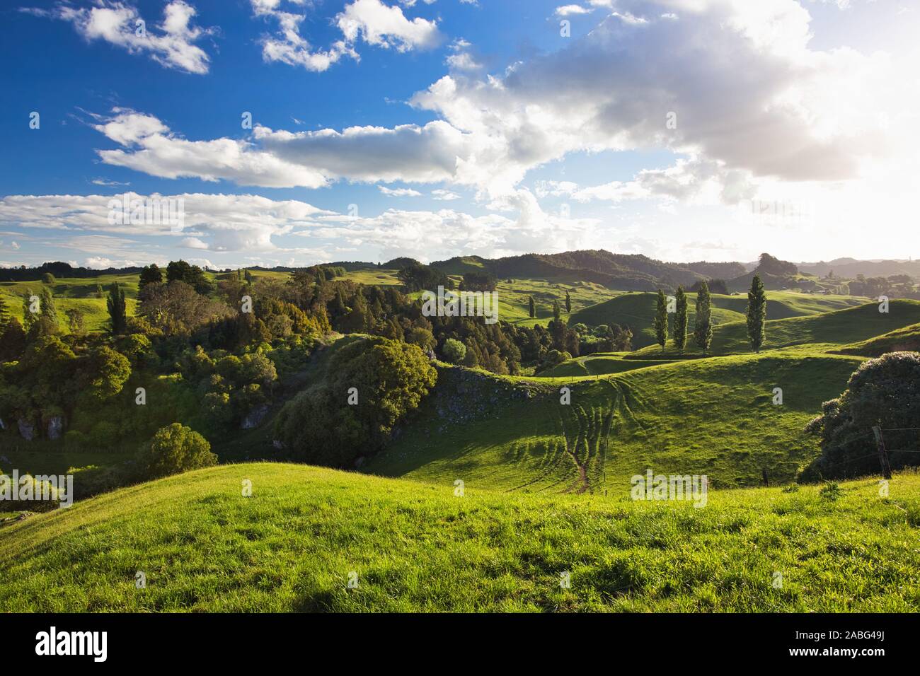 New Zealand Countryside Scenery, Waitomo Area Stock Photo - Alamy