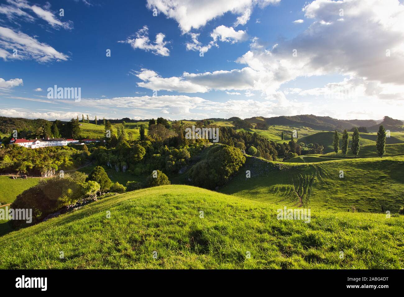 New Zealand Countryside Scenery, Waitomo Area Stock Photo - Alamy