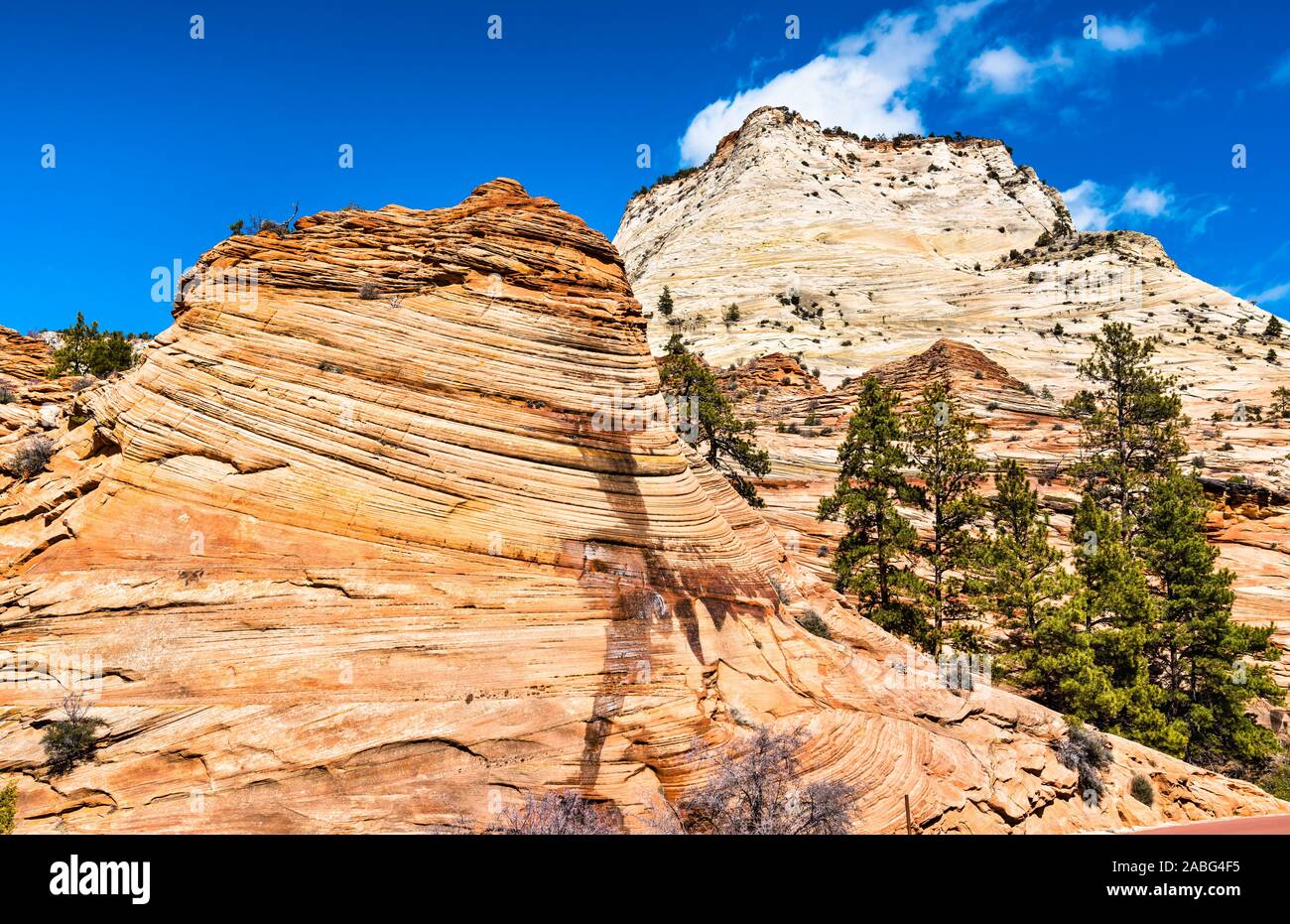Rock formations at Zion National Park along Pine Creek Stock Photo - Alamy