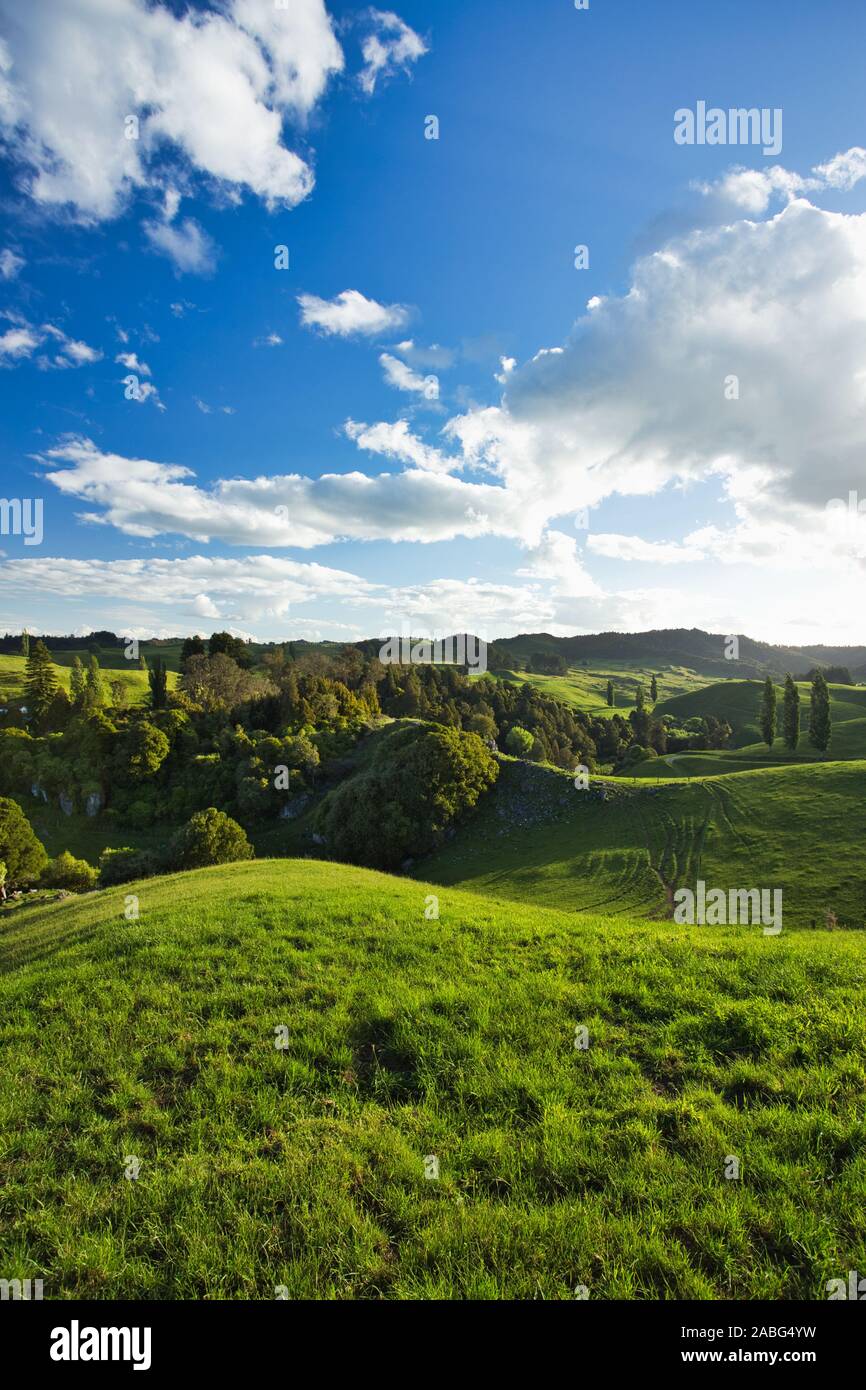 New Zealand Countryside Scenery, Waitomo Area Stock Photo - Alamy