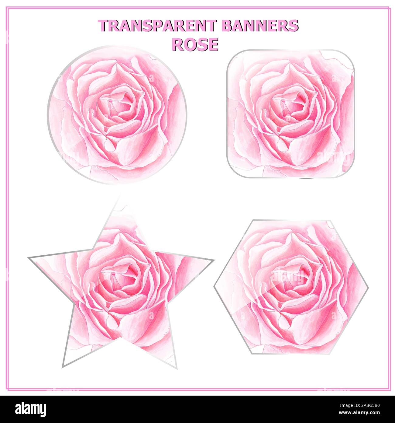Transparent banners with rose for design. Bright Illustration Stock ...