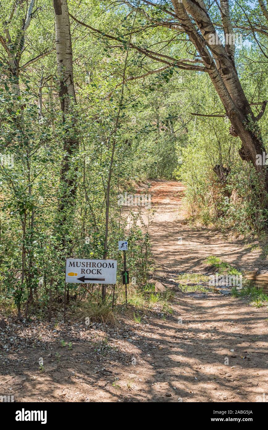 Cannibal tree hi-res stock photography and images - Alamy