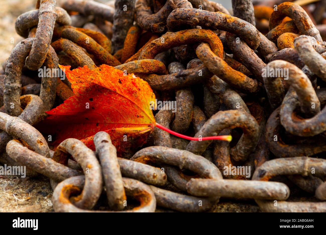 nature against human Stock Photo - Alamy