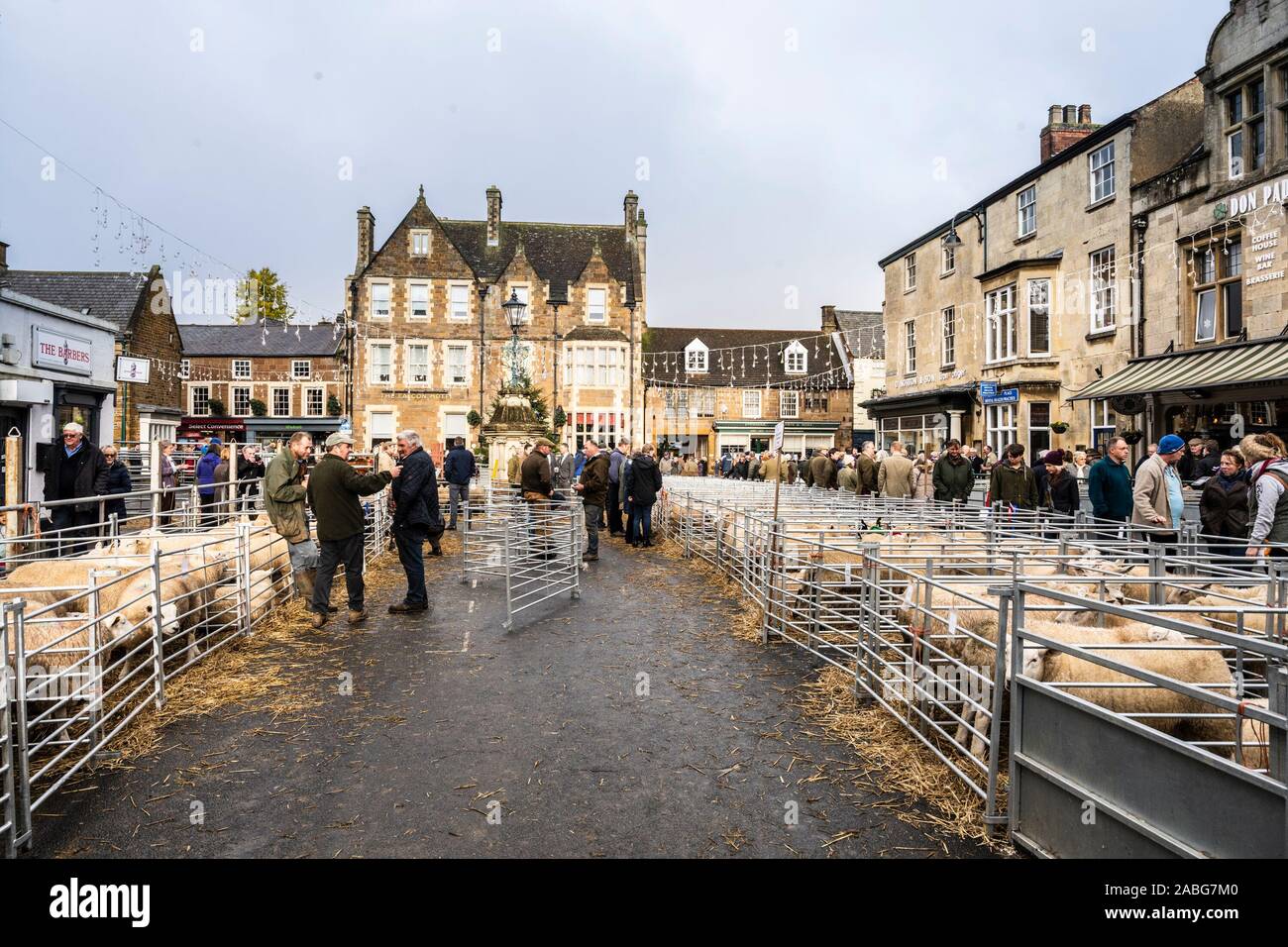 Uppingham fatstock show hi-res stock photography and images - Alamy