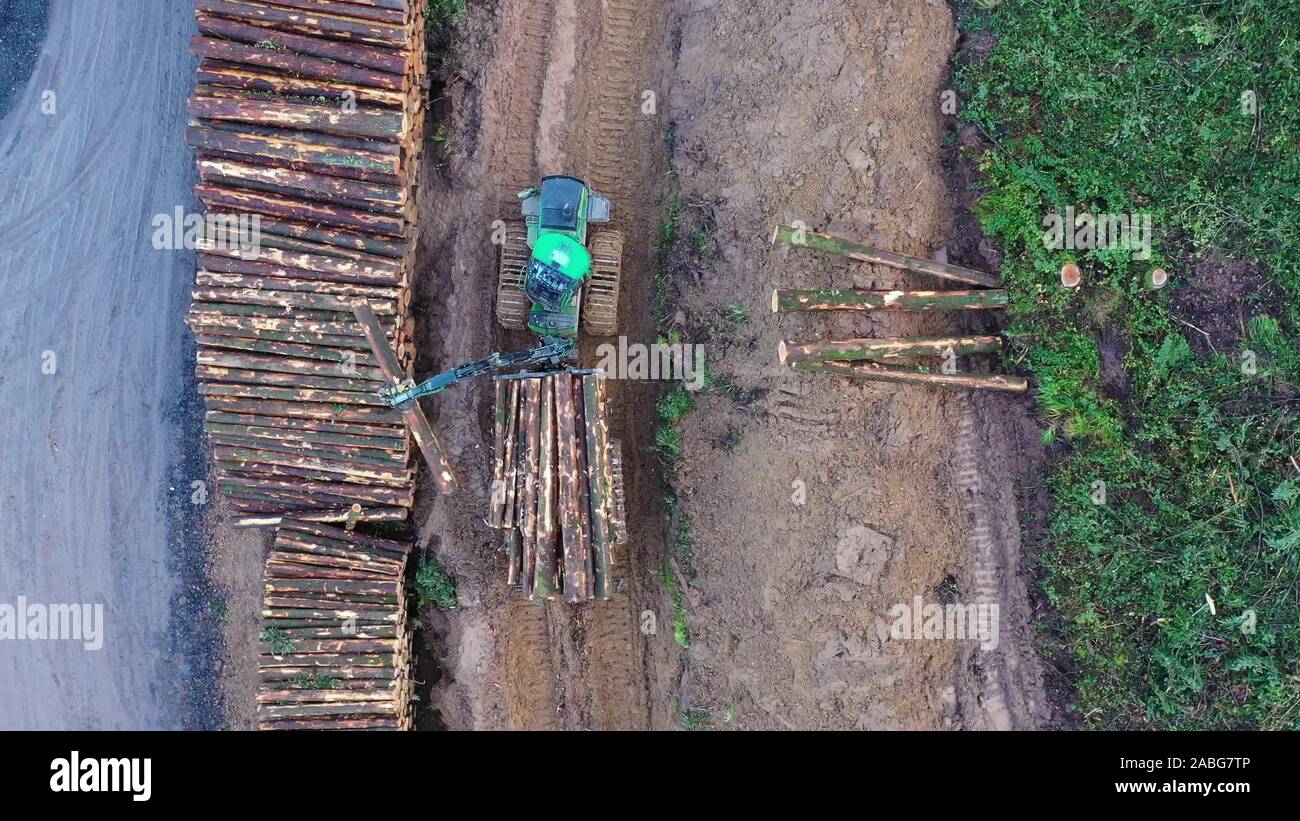 Aerial view of logs being stacked by heavy machinery on a commercial ...
