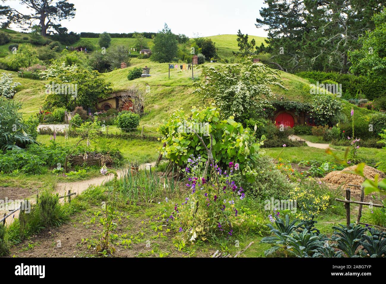 Hobbit House in the Shire, Hobbiton Movie Set, New Zealand Stock Photo ...