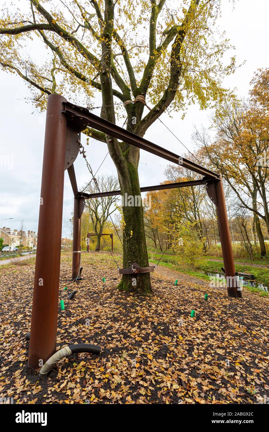 Old Elm tree - Ulmus, in a specialised metal frame for support after it ...