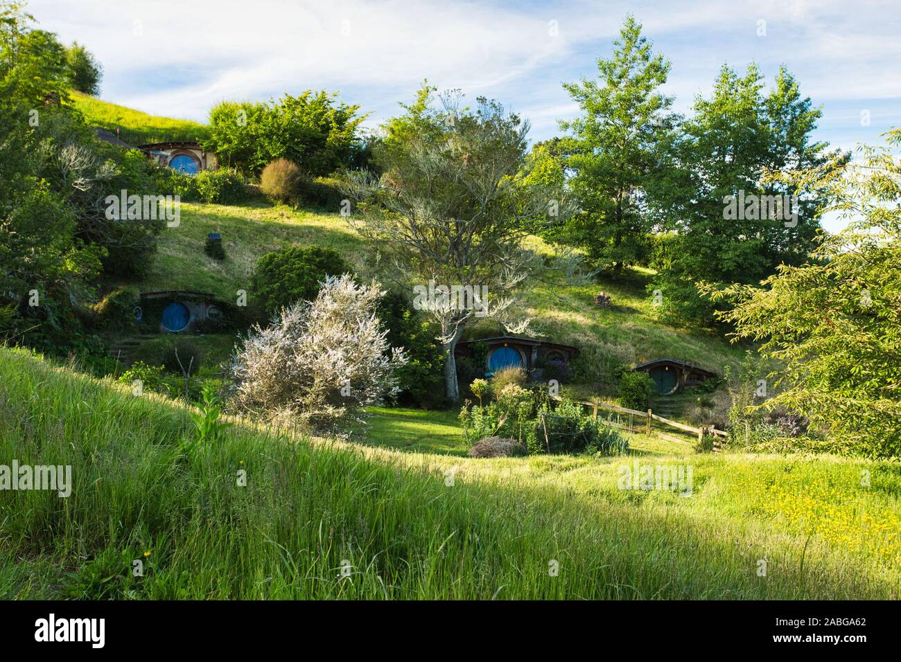 Hobbit House in the Shire, Hobbiton Movie Set, New Zealand Stock Photo ...