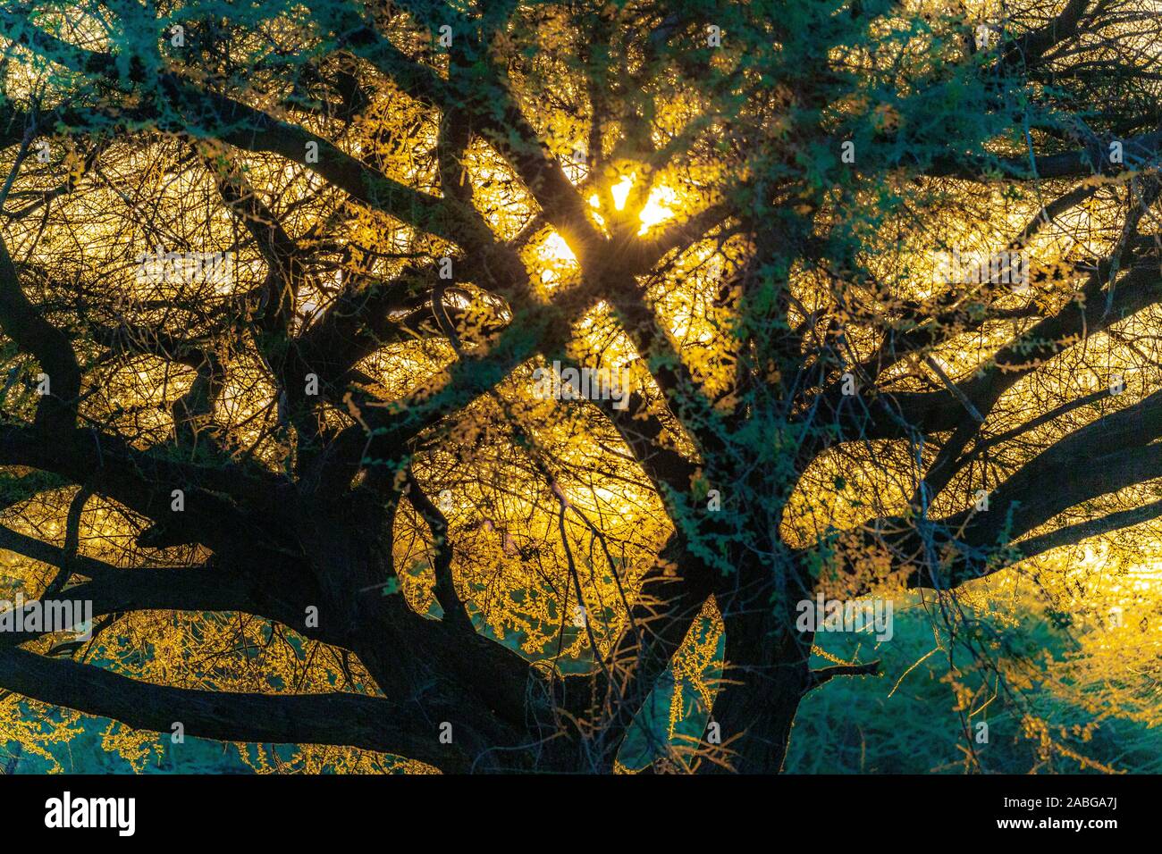 Sunset in Namibia, Africa Stock Photo - Alamy