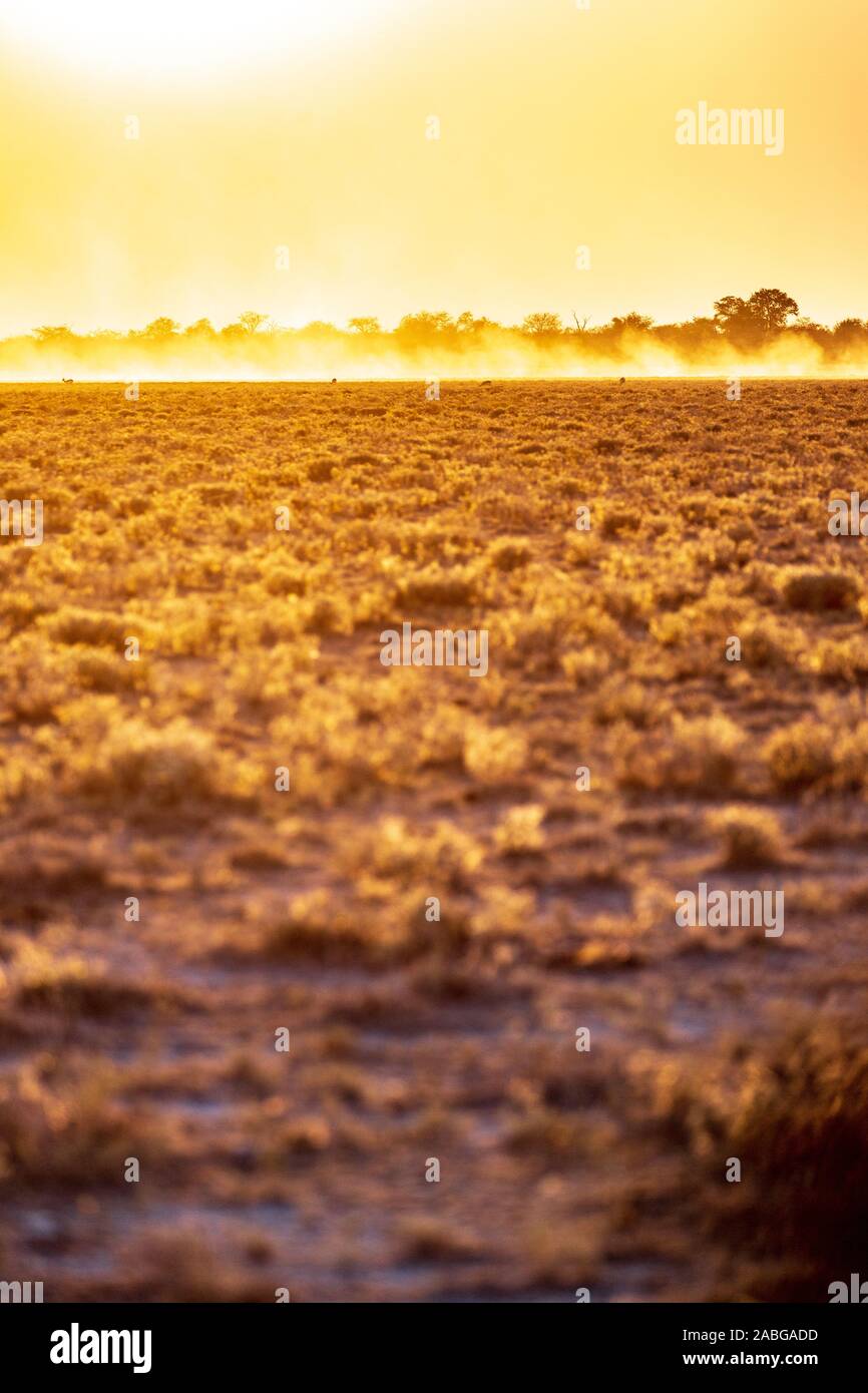 Sunset in Namibia, Africa Stock Photo - Alamy