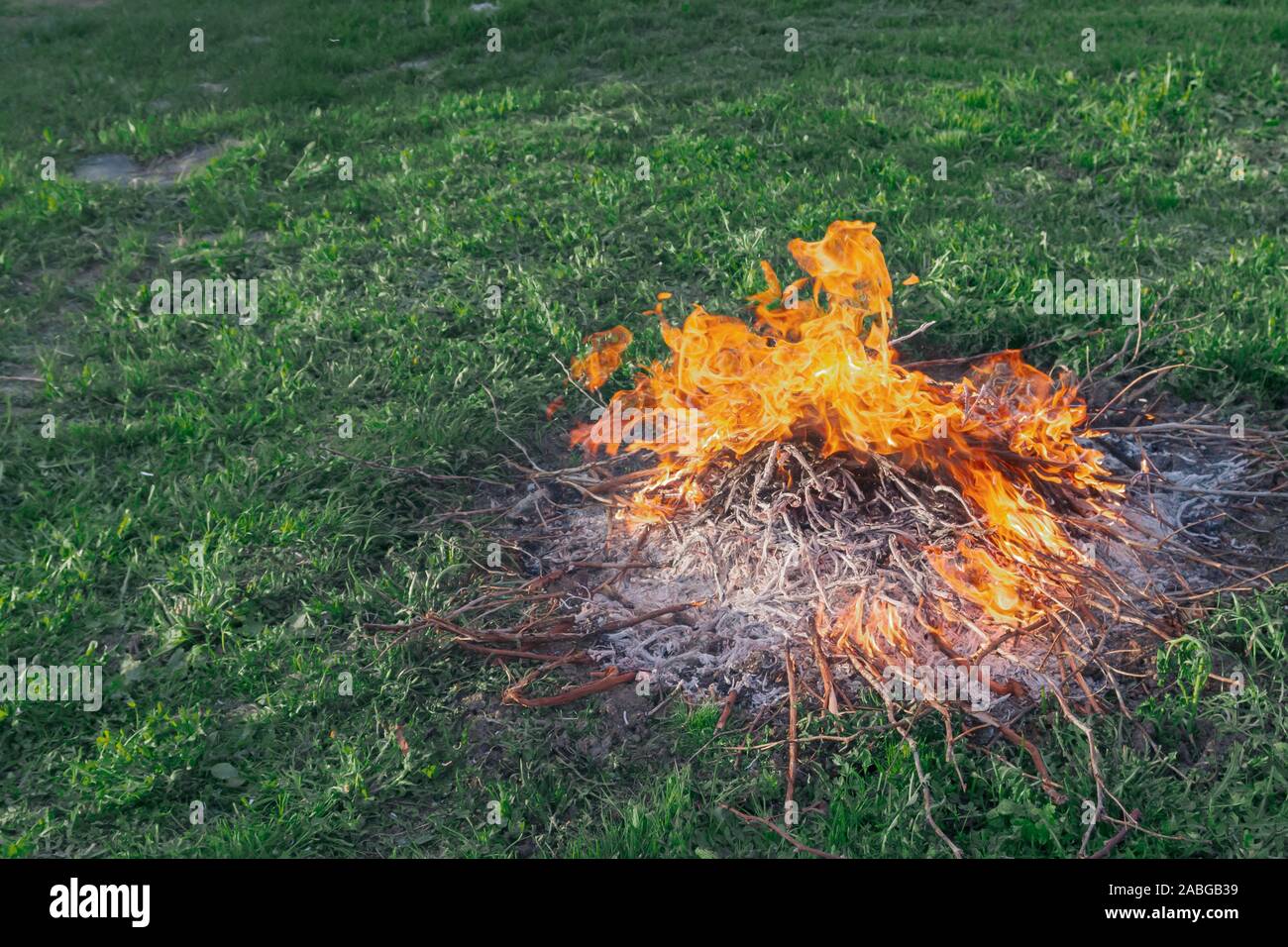 Fire of dry twigs on the green grass Stock Photo - Alamy